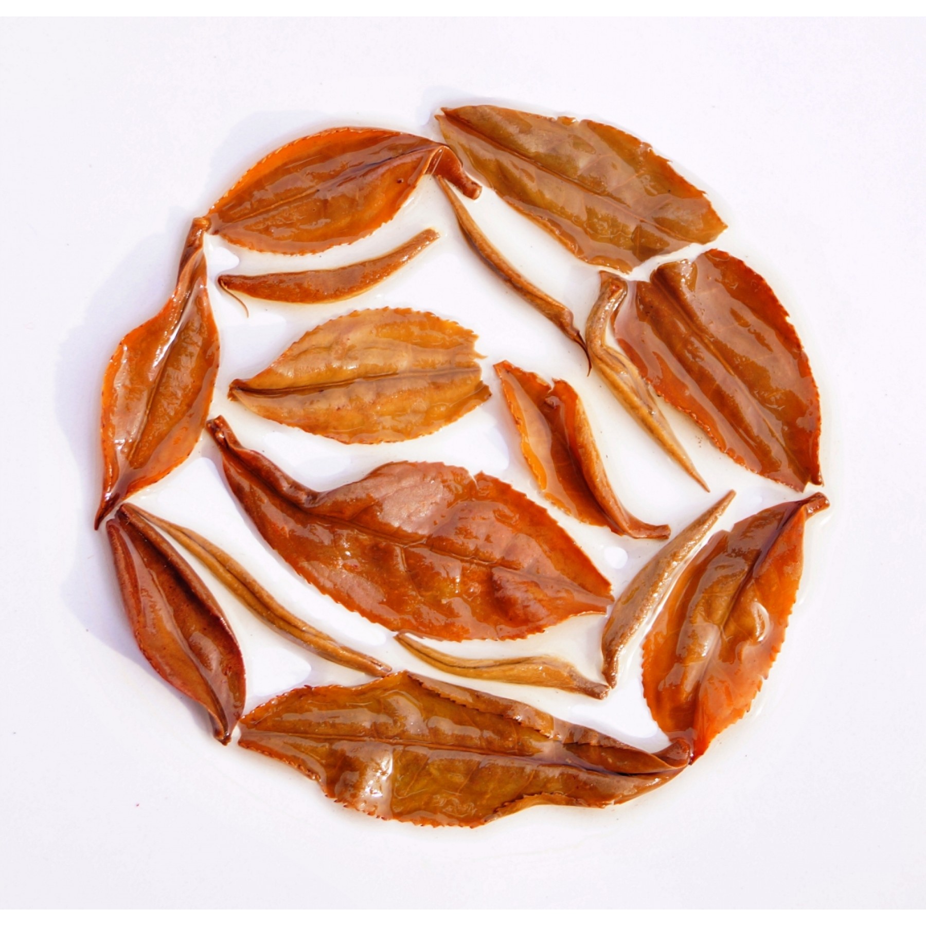 Darjeeling Summer Clonal Muscatel Tea