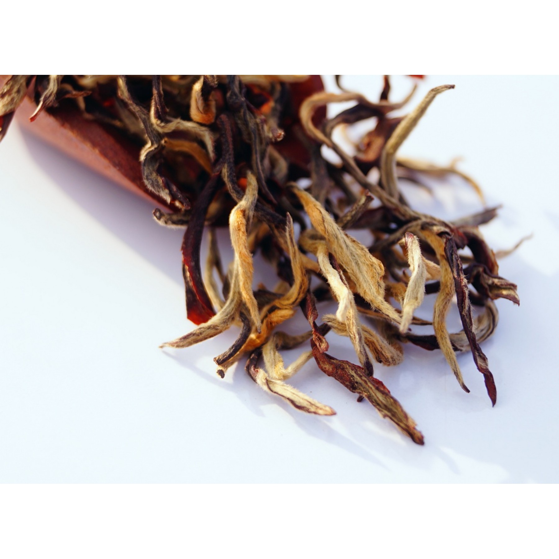 Darjeeling 2021 Exotic Aged Musk Black Tea