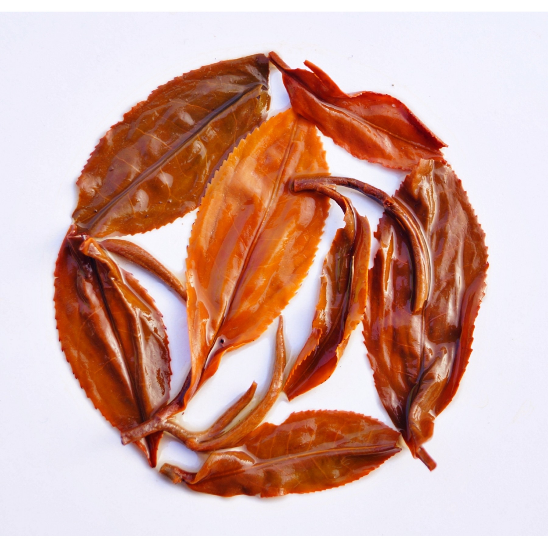 Darjeeling Winter Frost Red Oolong Tea ( Limited Edition )
