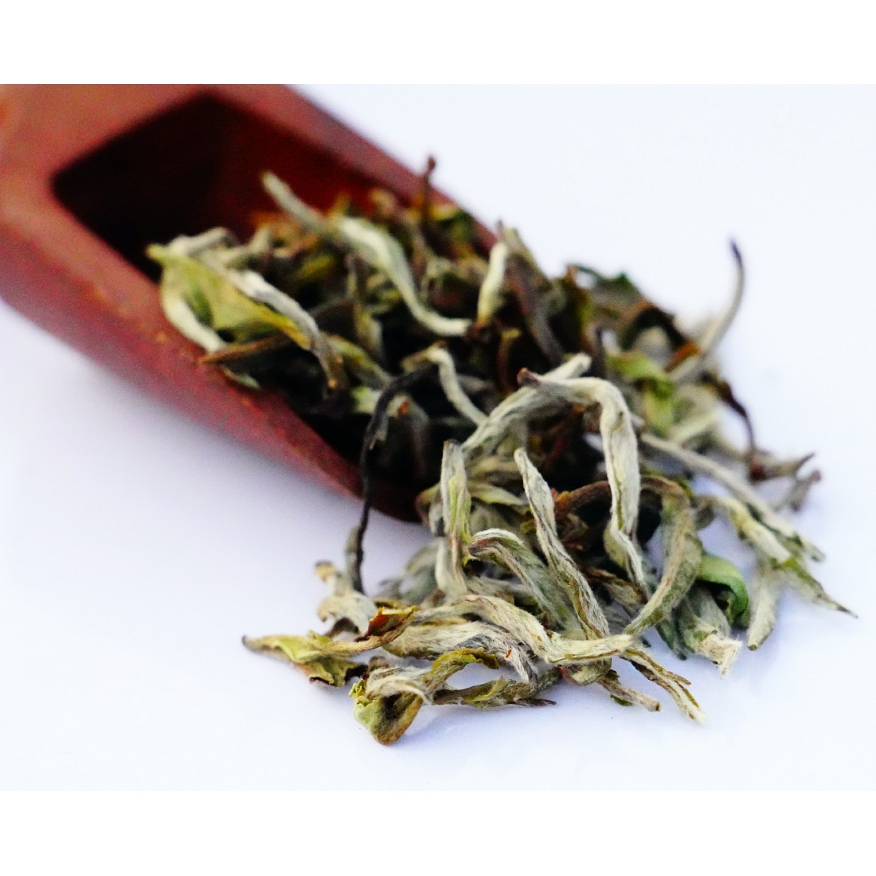 Upper Namring Spring Musk Black Tea ( Special Edition )