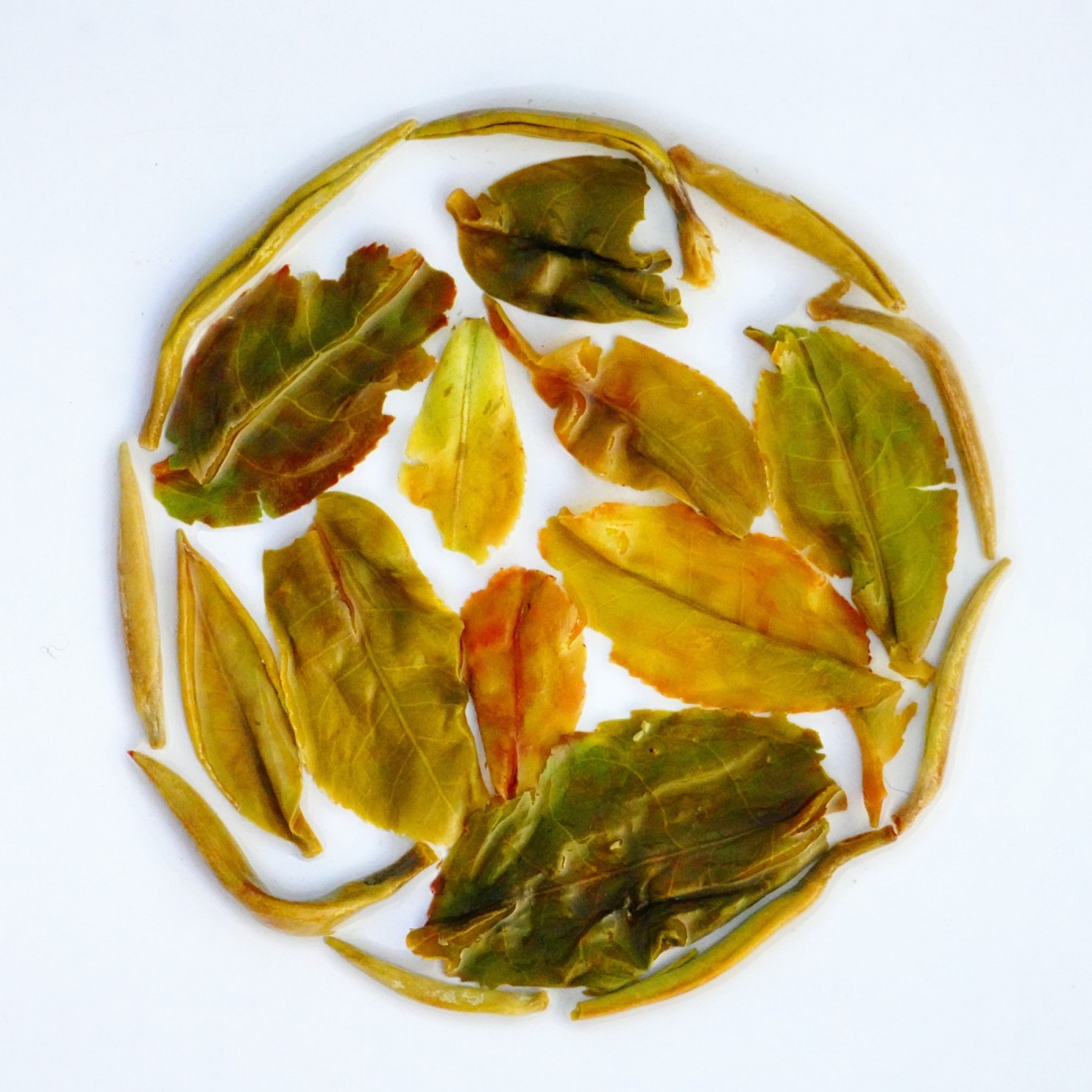Upper Namring Spring Musk Black Tea ( Special Edition )